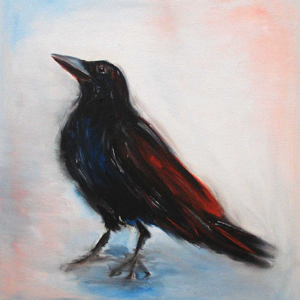 Cum sa-ti pierzi timpul si sa-ti futi planurile cu samsarii. Cioara ...